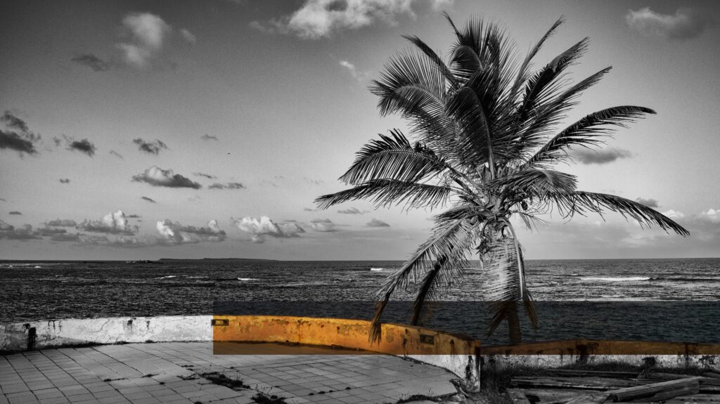 Deborah Jack: 20 Years – Pen and Brush