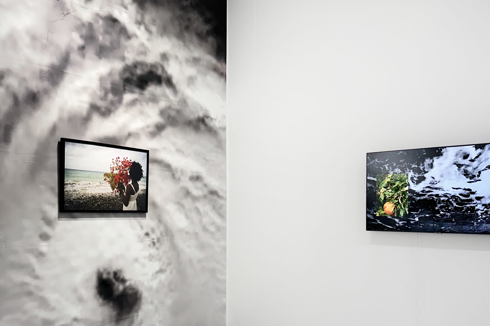 P+B X SCOPE 2023: Deborah Jack – Pen and Brush